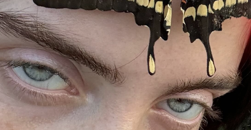 Billie Eilish gagne 7 millions de followers en 48 heures grâce à un ...